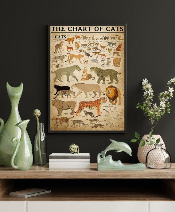 The Chart Of Cats Poster Cat Knowledge Chart Cat Poster Cat | Etsy
