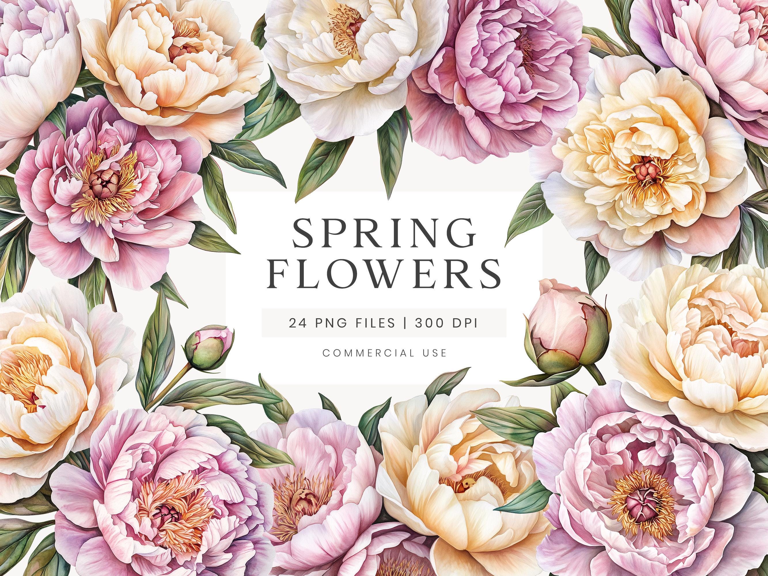 Pink Peony Clipart, Spring Watercolor Flowers, Spring Wedding Clipart ...