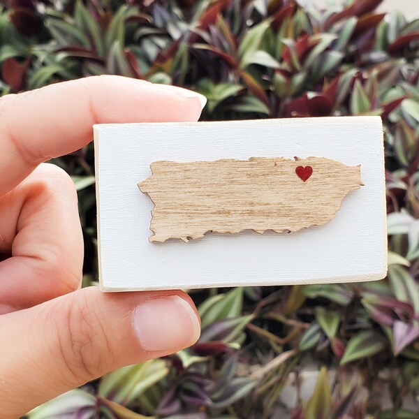 Puerto Rico Gift - Etsy