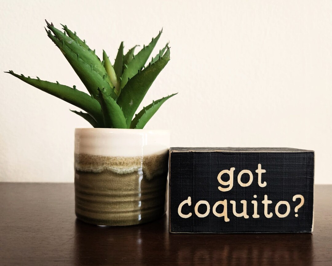 Puerto Rico Christmas, Puerto Rico Coquito, Puerto Rico Ornament, Got ...