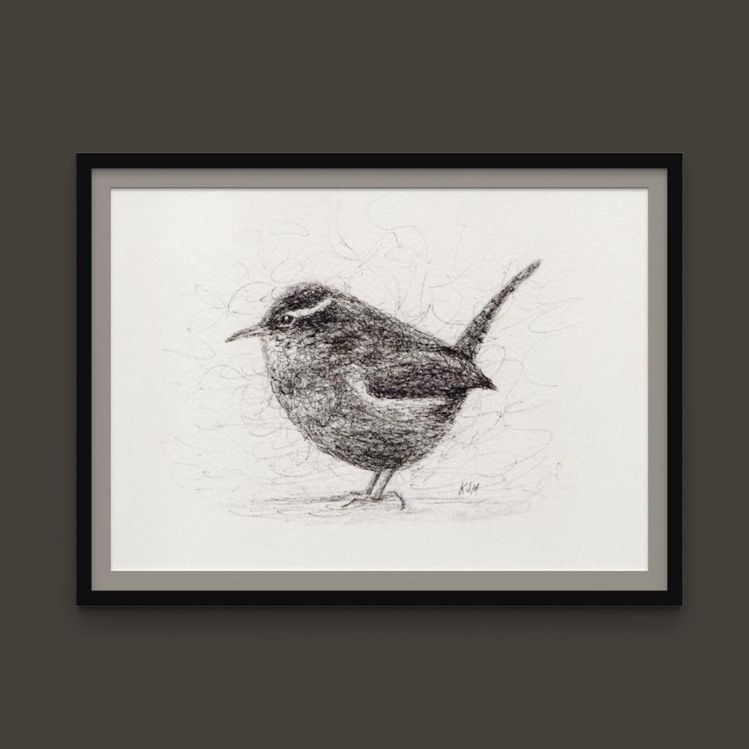 Carolina Wren - ORIGINAL 5x7" Ink Line Drawing, Wrens, Nature, Art ...