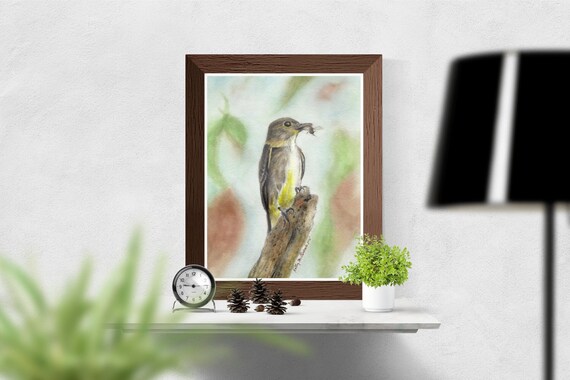 Eastern Wood Pewee PRINT of My Original Watercolor Bird - Etsy UK