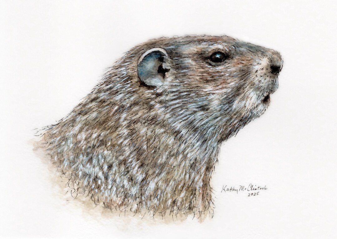 Groundhog Portrait Print: Watercolor Woodland Animal Art - Etsy