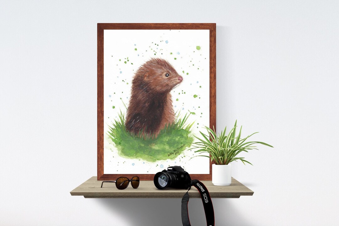 American Mink - PRINT of My Original Watercolor Painting Art, Wildlife ...