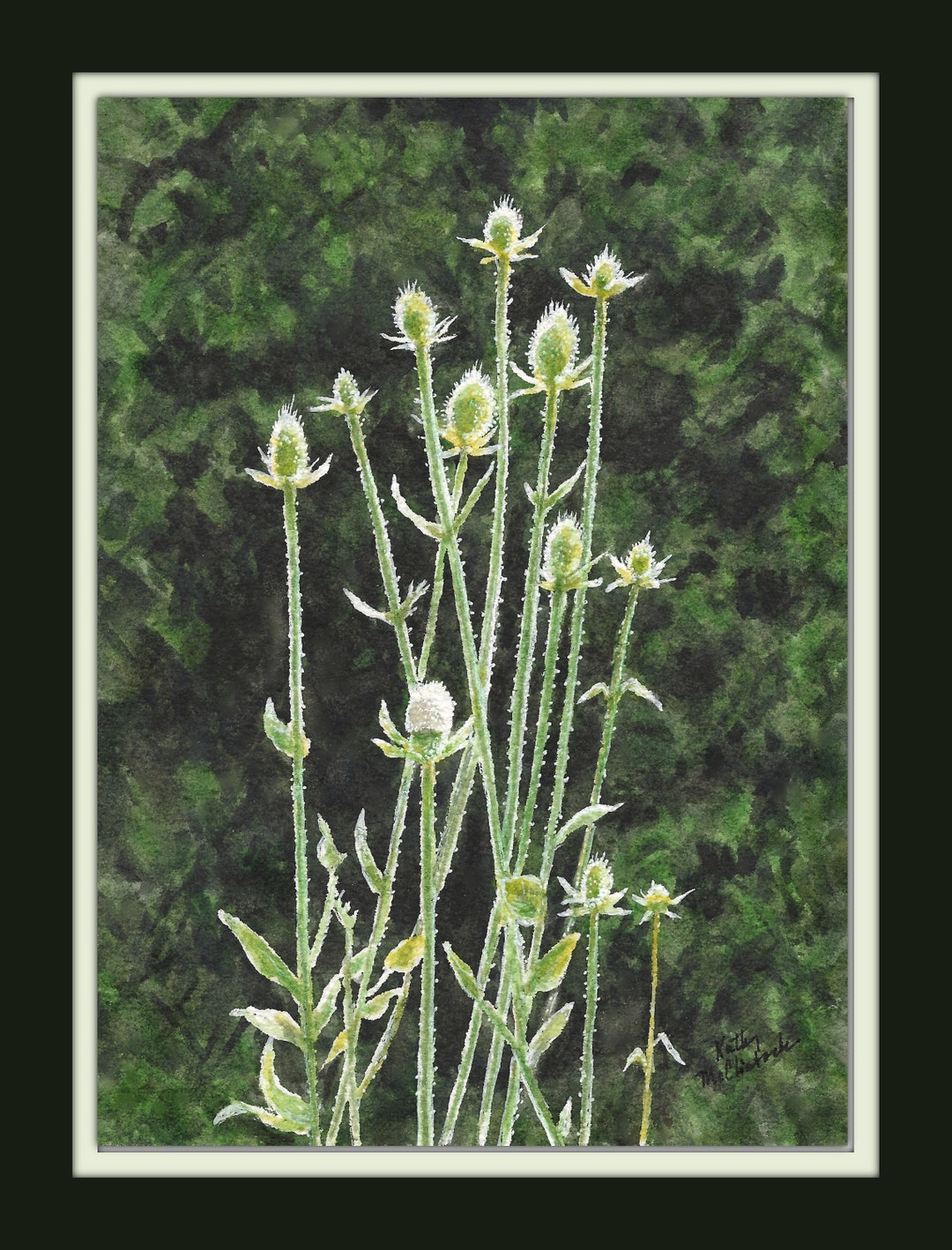 Teasel in the Meadow PRINT of My Original Watercolor Painting, Nature ...