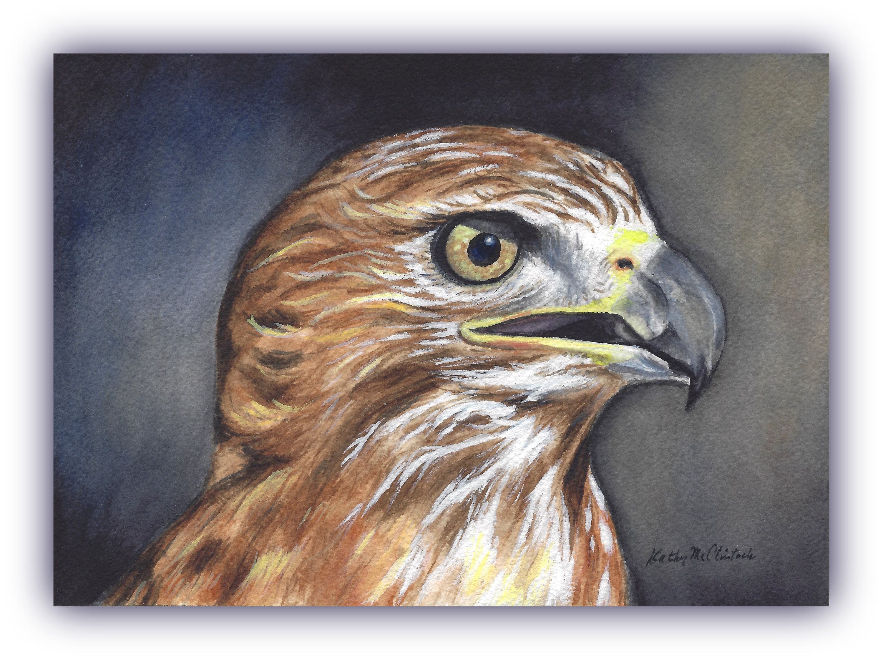 Red-tailed Hawk PRINT of My Original Watercolor Bird | Etsy