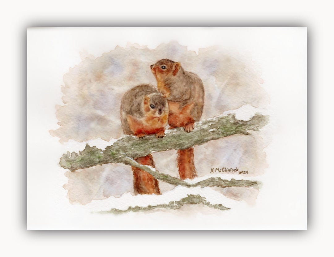 Fox Squirrels on Cold Winter Day ORIGINAL Watercolor Painting 5x7 Art ...
