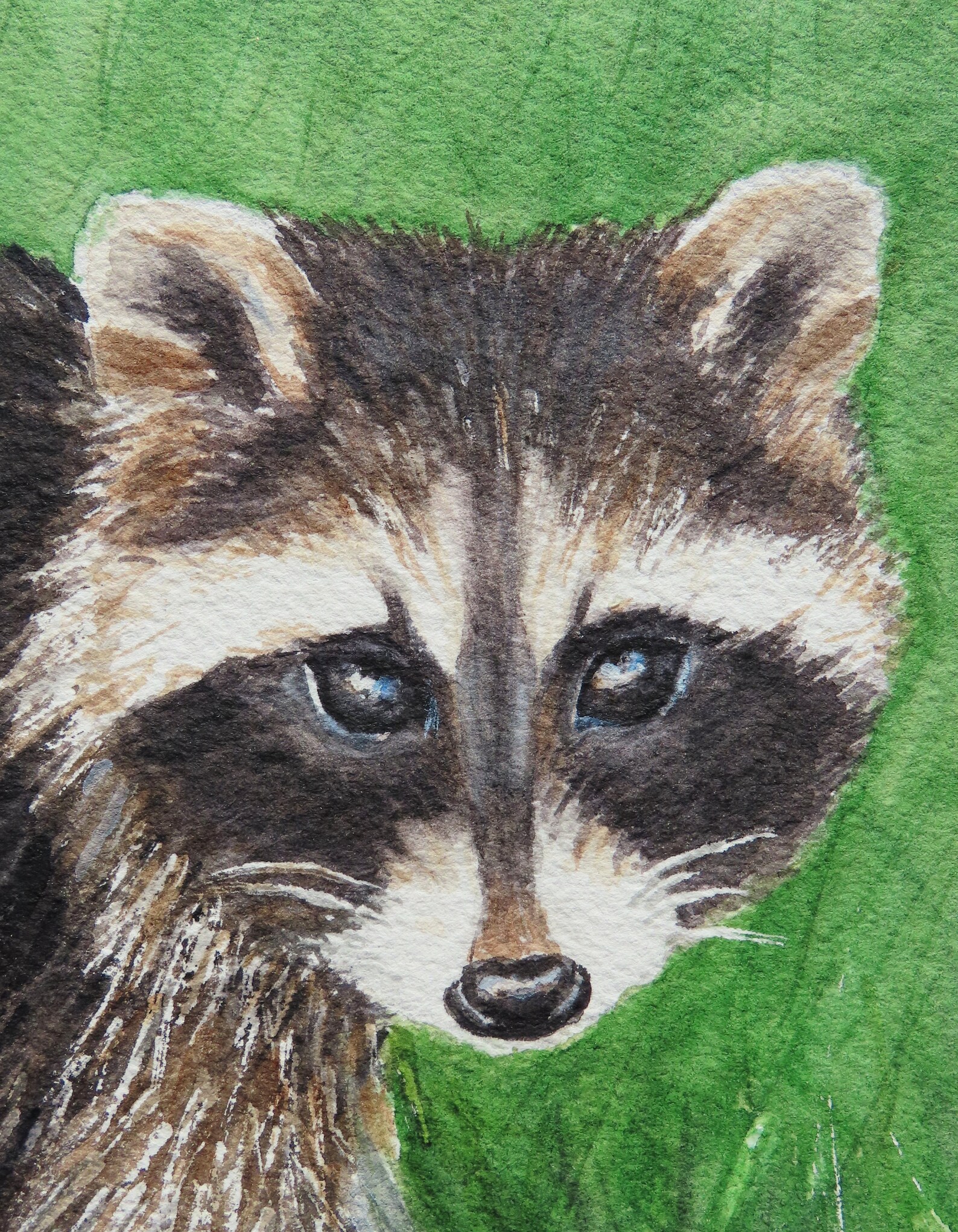 Mapache IMPRESIÓN de mi pintura original de la acuarela | Etsy