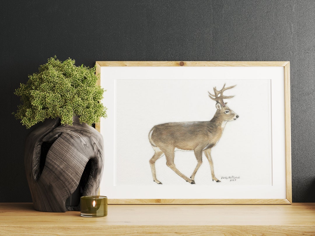 White-tailed Deer Buck - PRINT of My Original Watercolor Painting Art ...