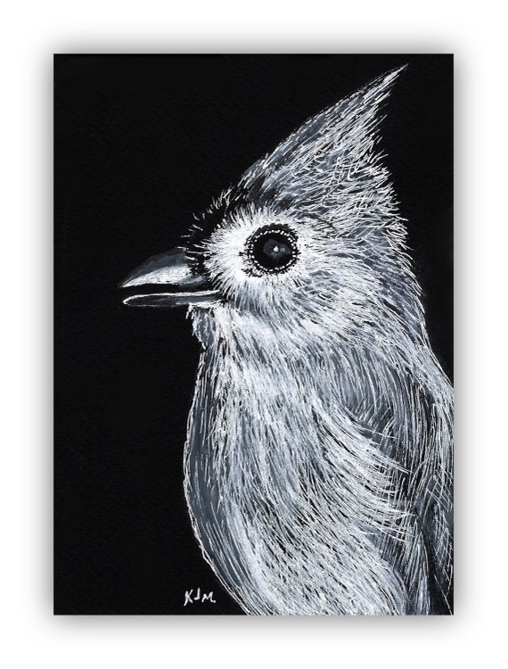 Titmouse Coloring Pages