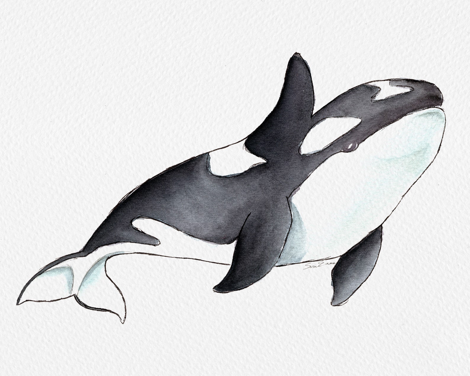 Orca, Watercolor Orca, Watercolor Whale, Watercolor Art Print, Under ...