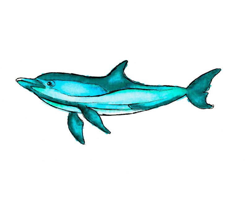 Dolphin - Watercolor Dolphin - Watercolor Art Print - Watercolor Print ...