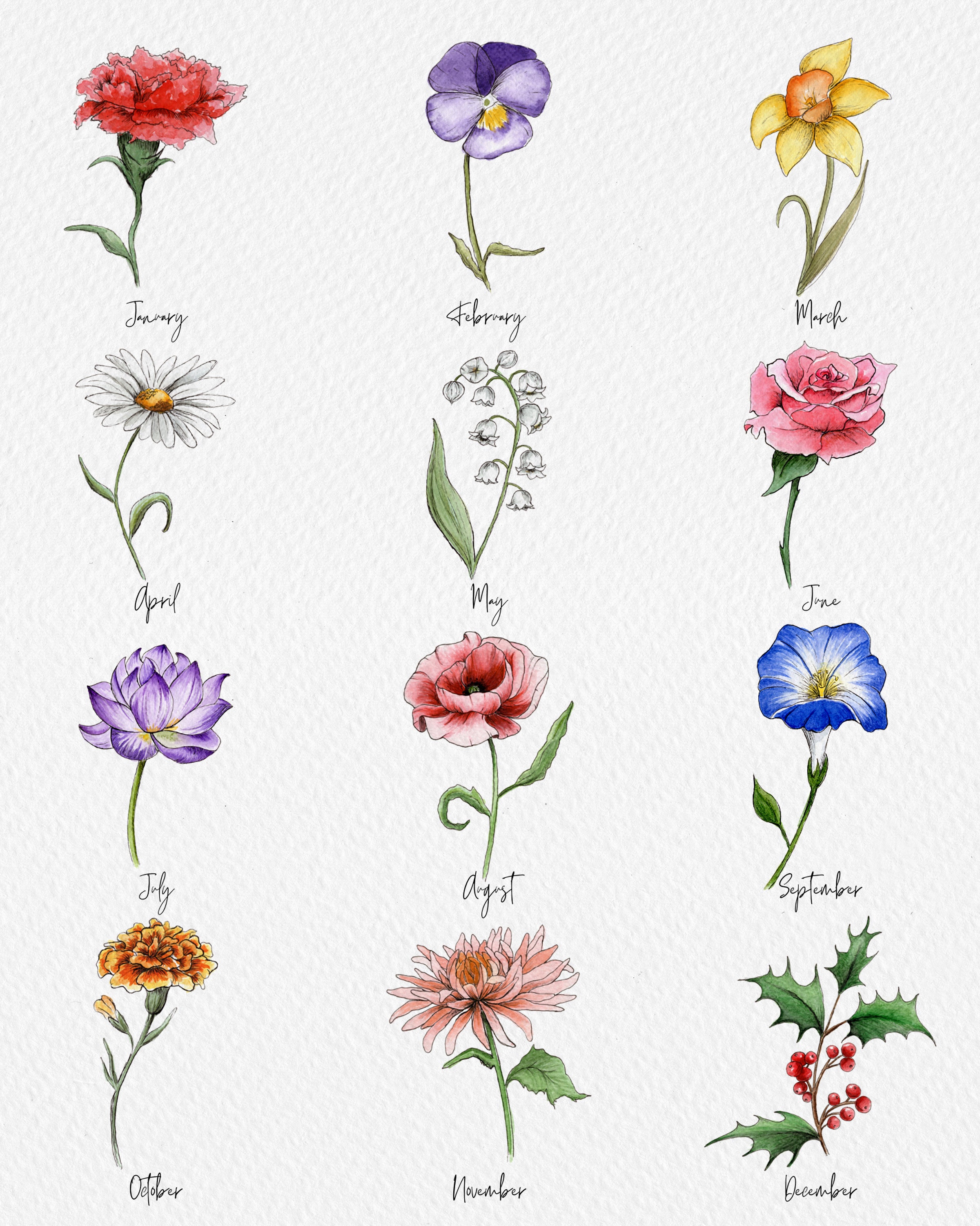 Flowers of the Month, Watercolor Art Print, Hand Painted, Flower Poster ...