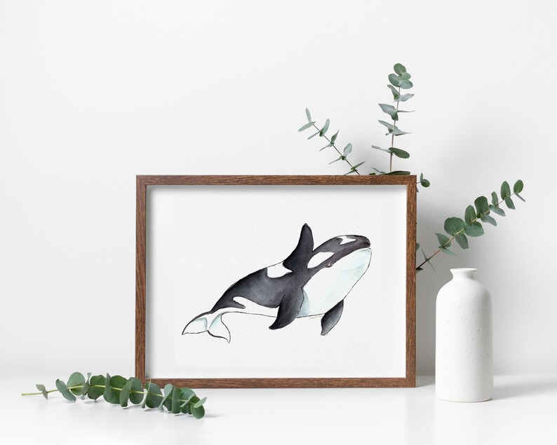 Orca, Watercolor Orca, Watercolor Whale, Watercolor Art Print, Under ...