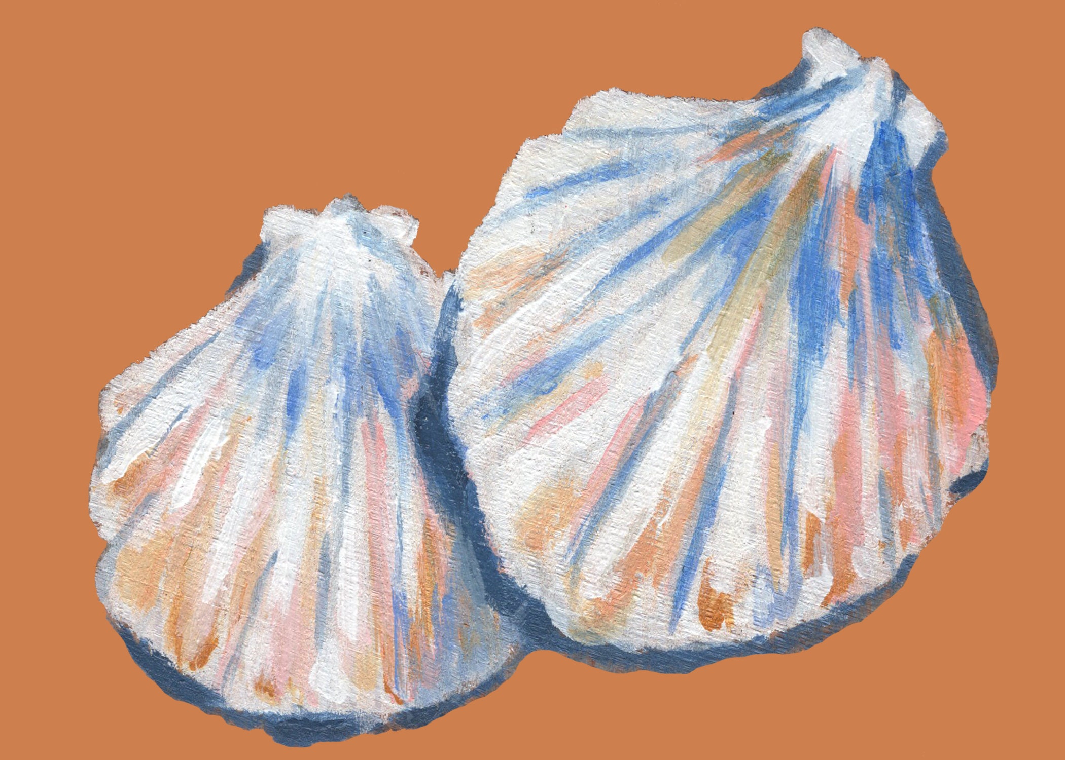 Acrylic Art Print - Seashells - Shells - Summer - Beach - Wall Art ...
