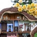 Brambly Hedge Mouse House With Illumination Based on the Brambly Hedge ...