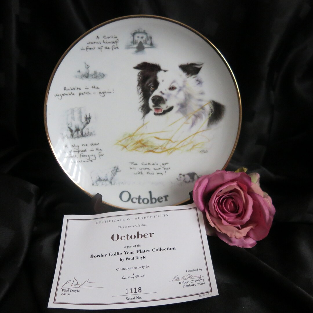 Danbury Mint Border Collie Plate - October, Paul Doyle Art - Etsy