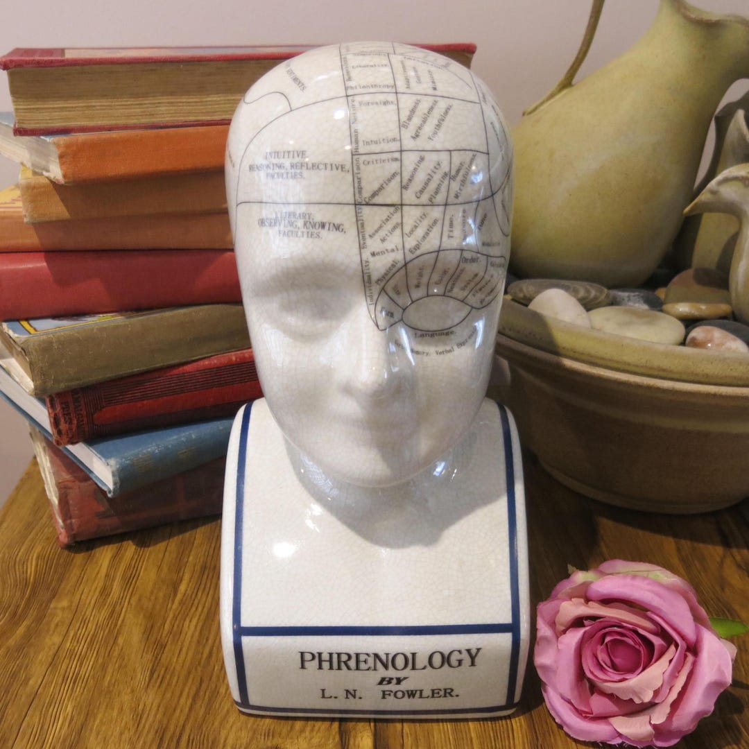 Vintage Large Phrenology Head by L N Fowler - Collectible - Etsy