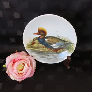 Vintage Duck Plate by Poole Pottery - Red Crested Duck, John Gould 1804 ...