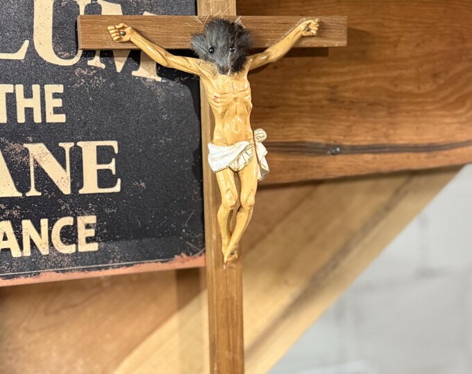 Cheezus Christ Mummified Rat Taxidermy - Etsy