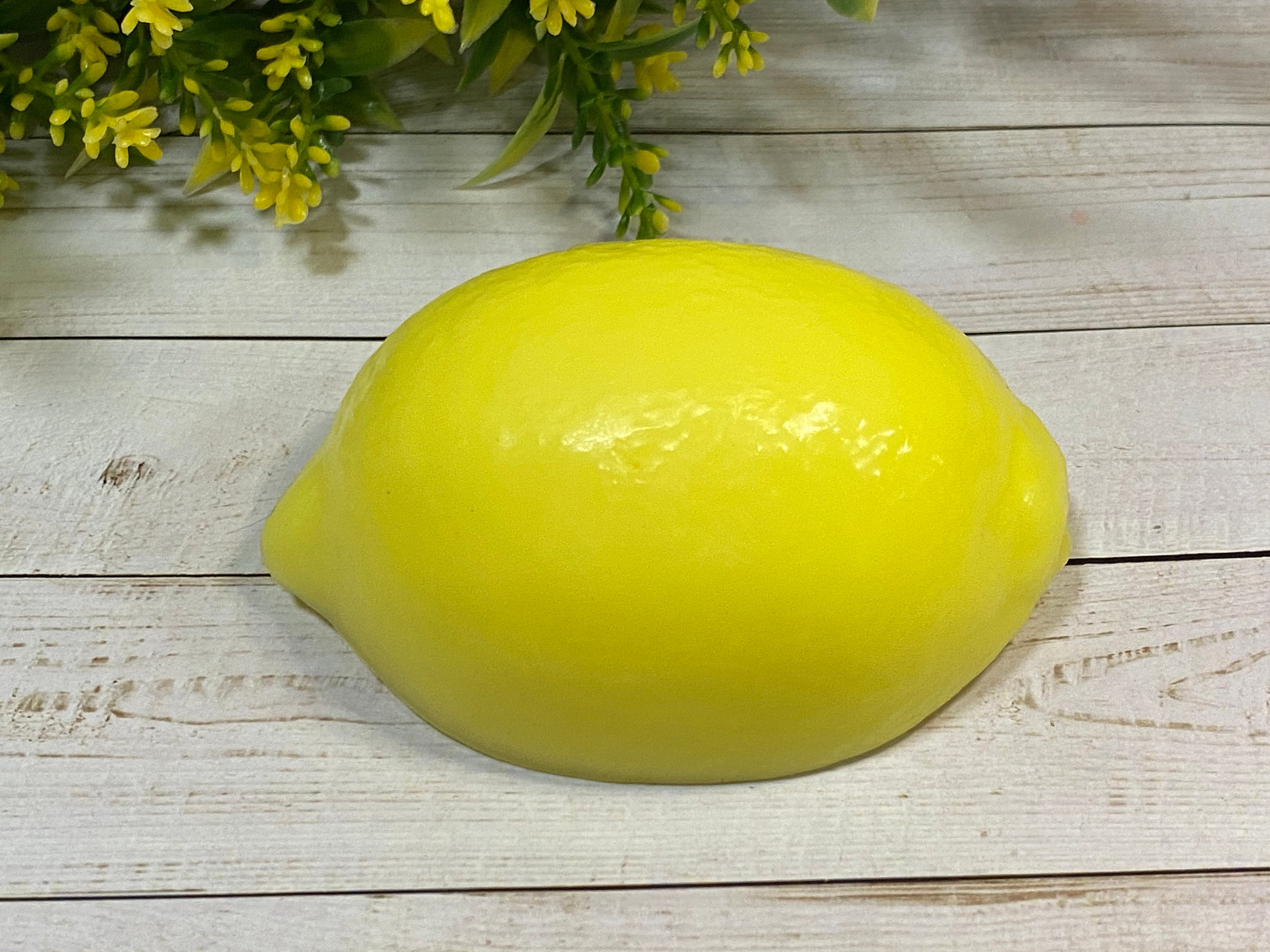 Half Lemon Plastic Mold-Kind of Citrus Mold-Food Theme | Etsy