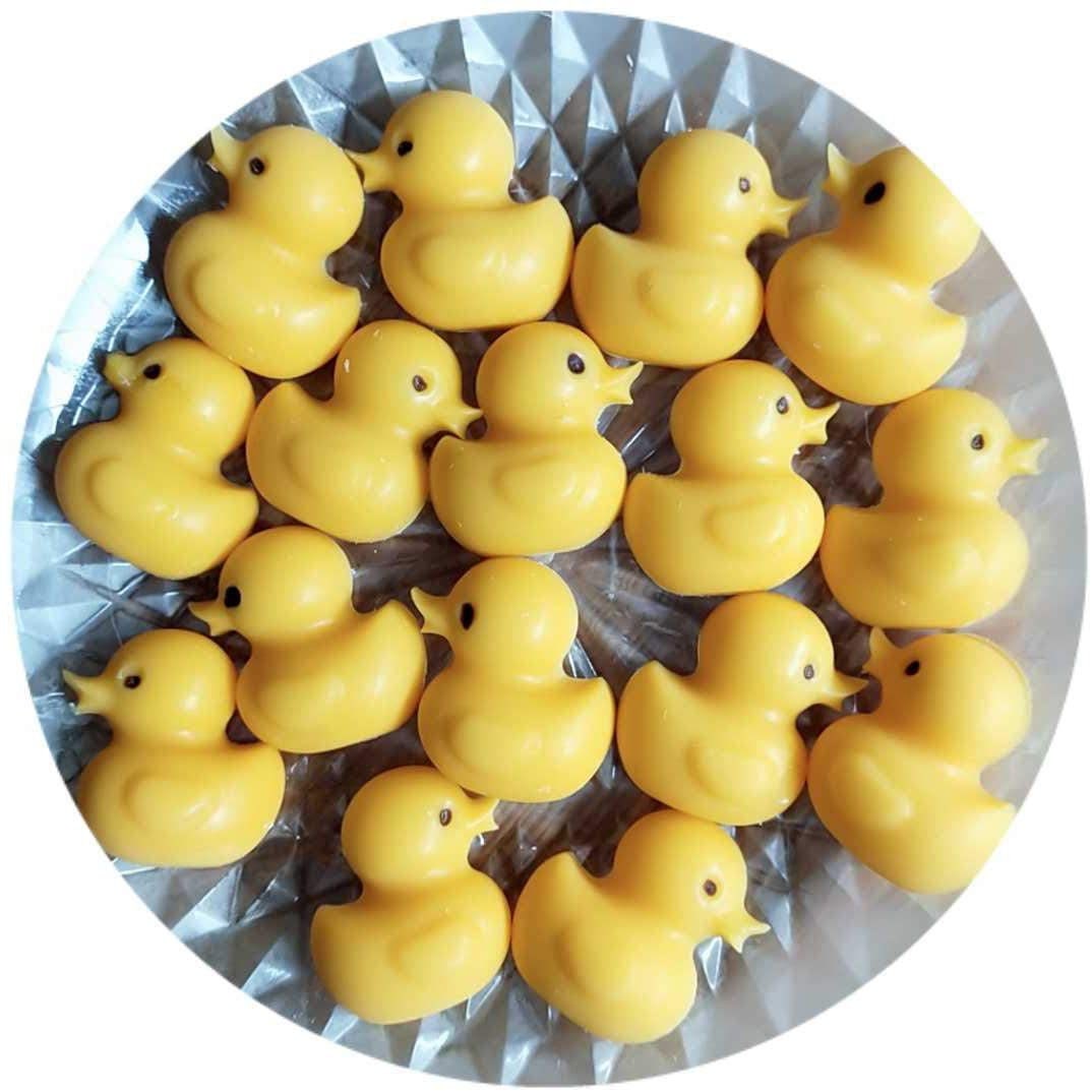 16 Cavities Ducklings Candy Mold-duck Silicone Mold-chocolate - Etsy