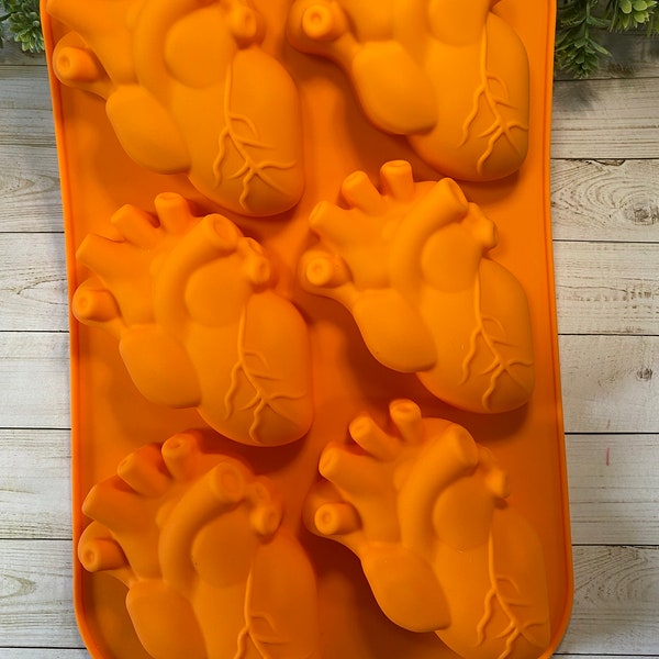 Anatomical Resin Moulds - Etsy