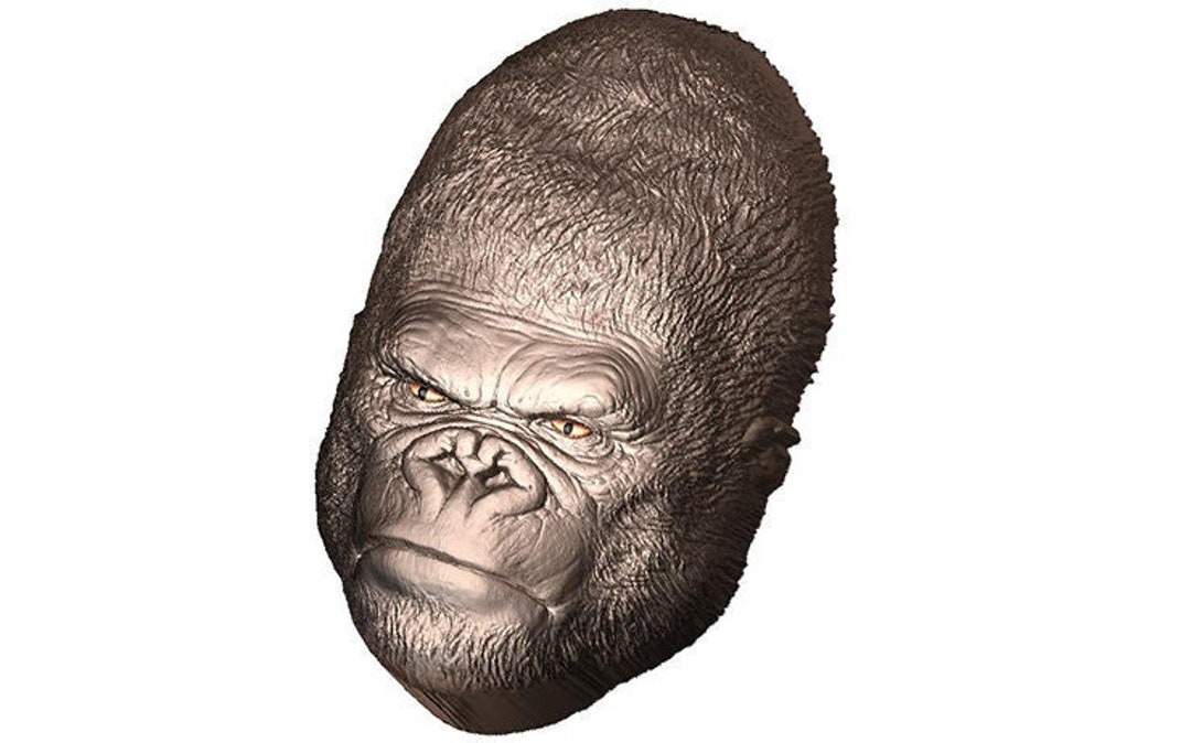 Gorilla Mold-monkey Mold-animal Mold-primate Mold-bath Bomb Mold ...