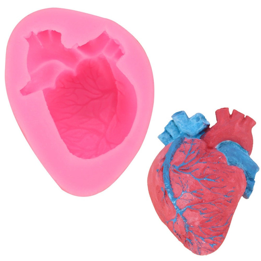 3D Human Heart Silicone Mold: Anatomical Cake, Chocolate, Soap (3.1x2 ...