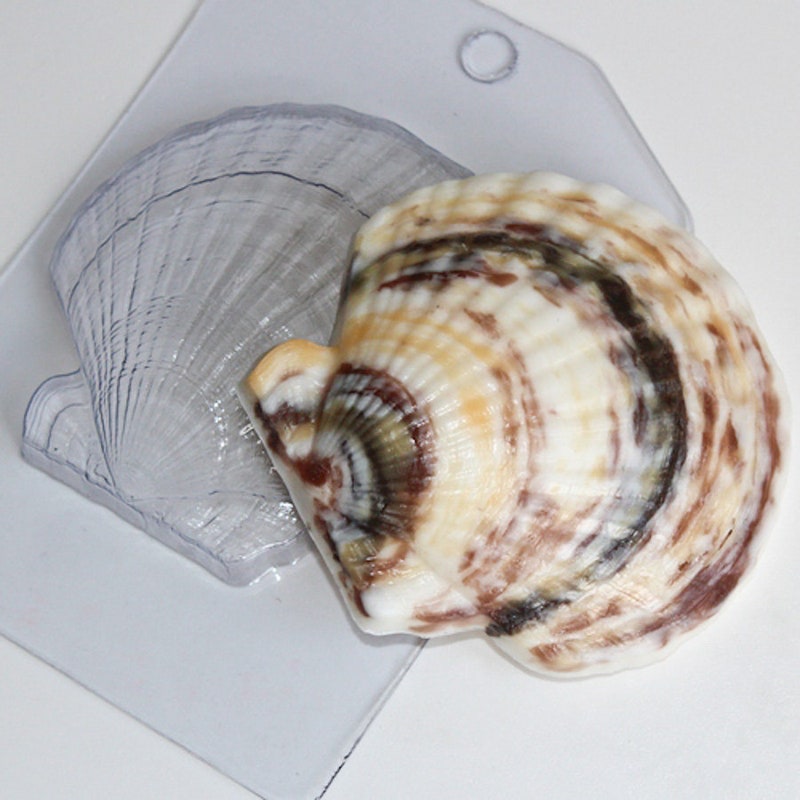 Seashell Mold - Etsy