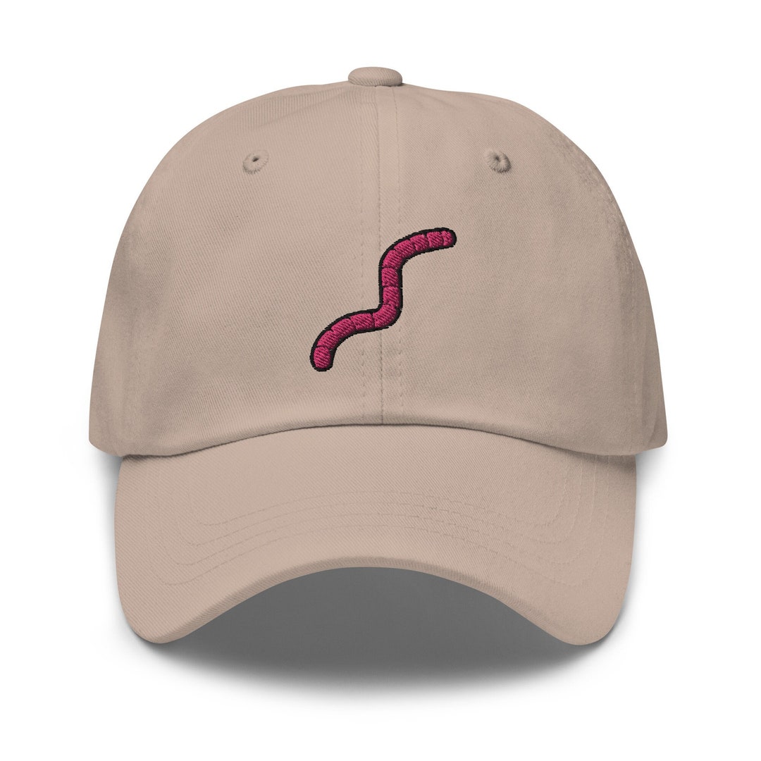 Earth Worm Dad Hat, Funny Worm Gift Cap, Cute Worm, Embroidered Unisex ...