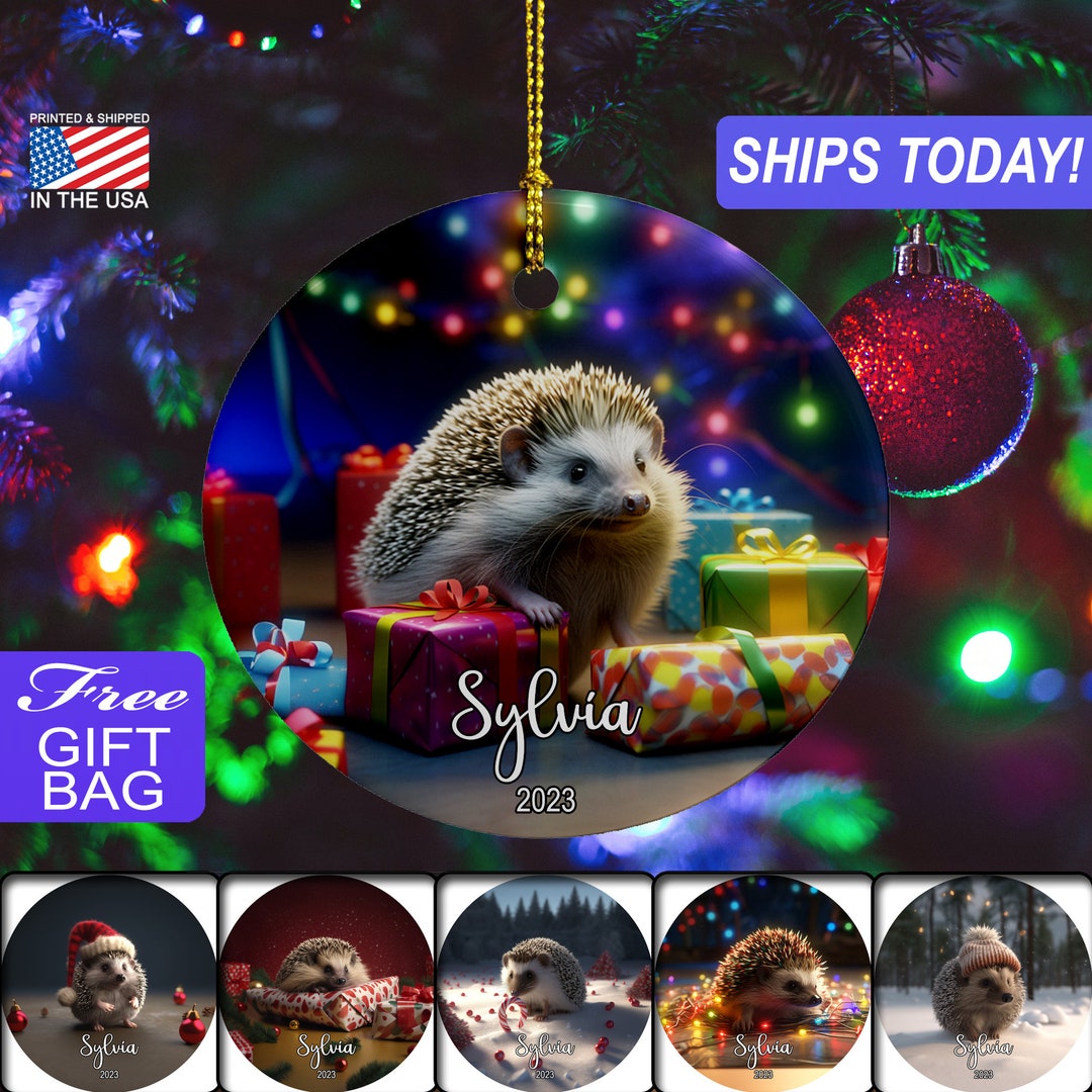 Cute Christmas Hedgehog, Custom Personalized Ceramic Stone Christmas ...