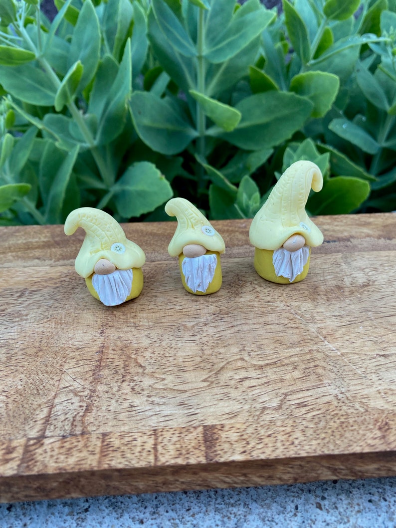 Fruit Themed Gnomes, Kiwi, Dragon Fruit, Banana, Watermelon, Strawberry ...