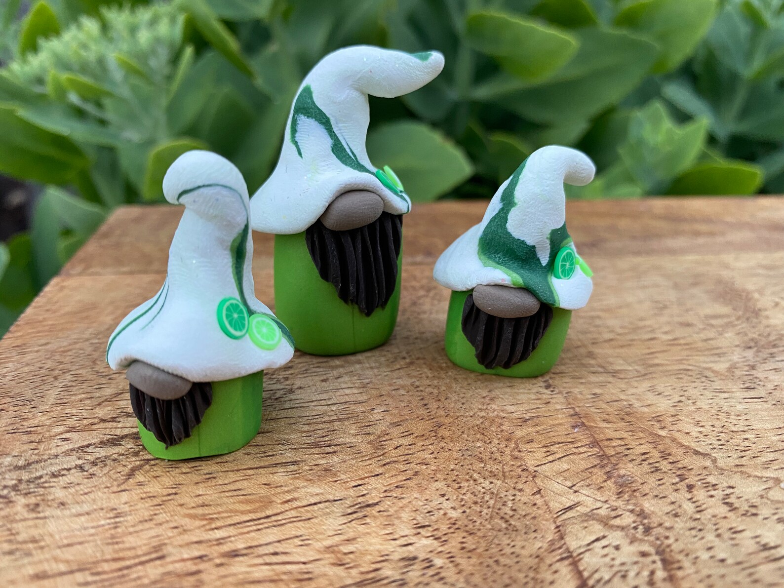 Fruit Themed Gnomes, Kiwi, Dragon Fruit, Banana, Watermelon, Strawberry ...