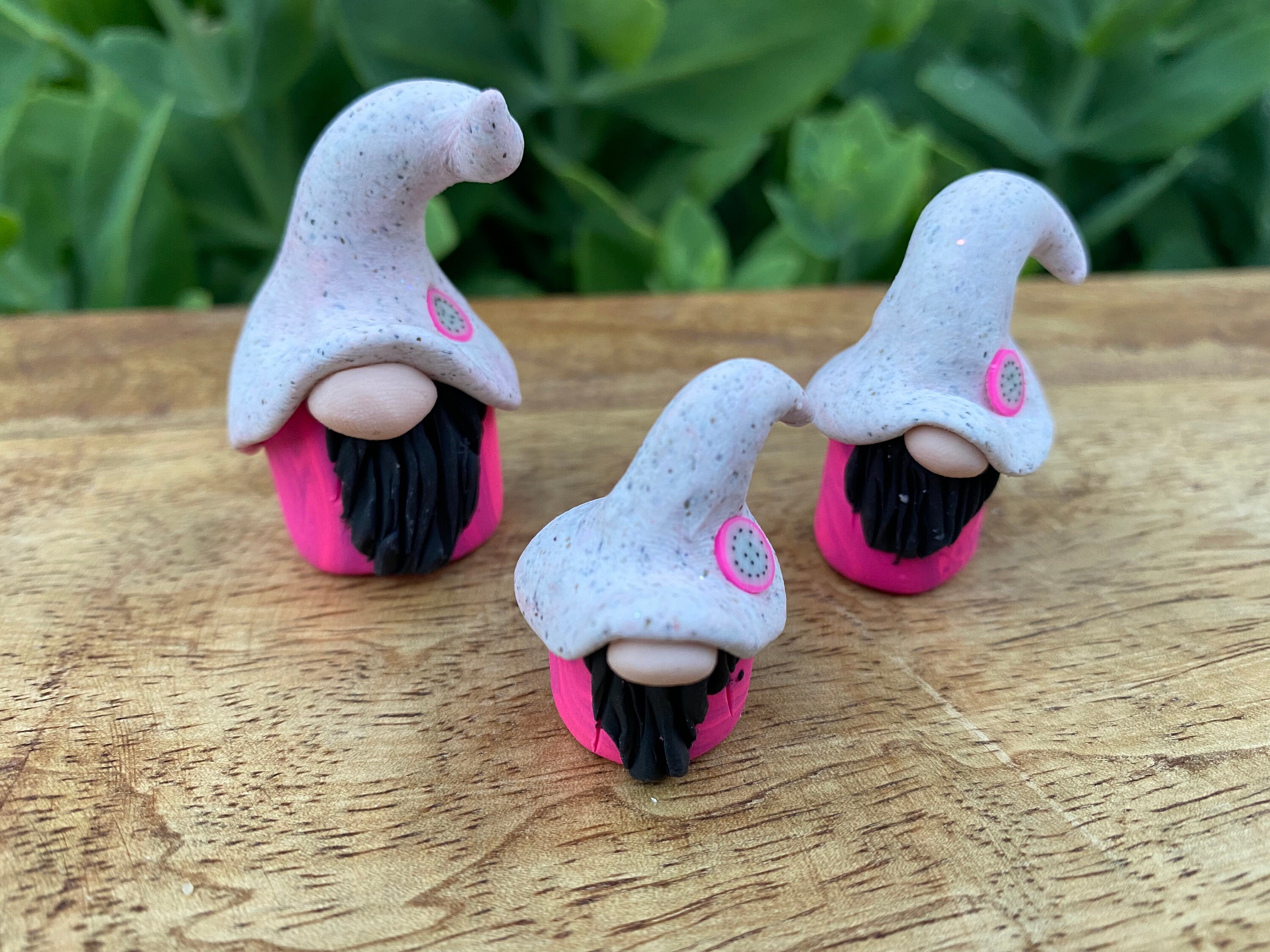 Fruit Themed Gnomes, Kiwi, Dragon Fruit, Banana, Watermelon, Strawberry ...