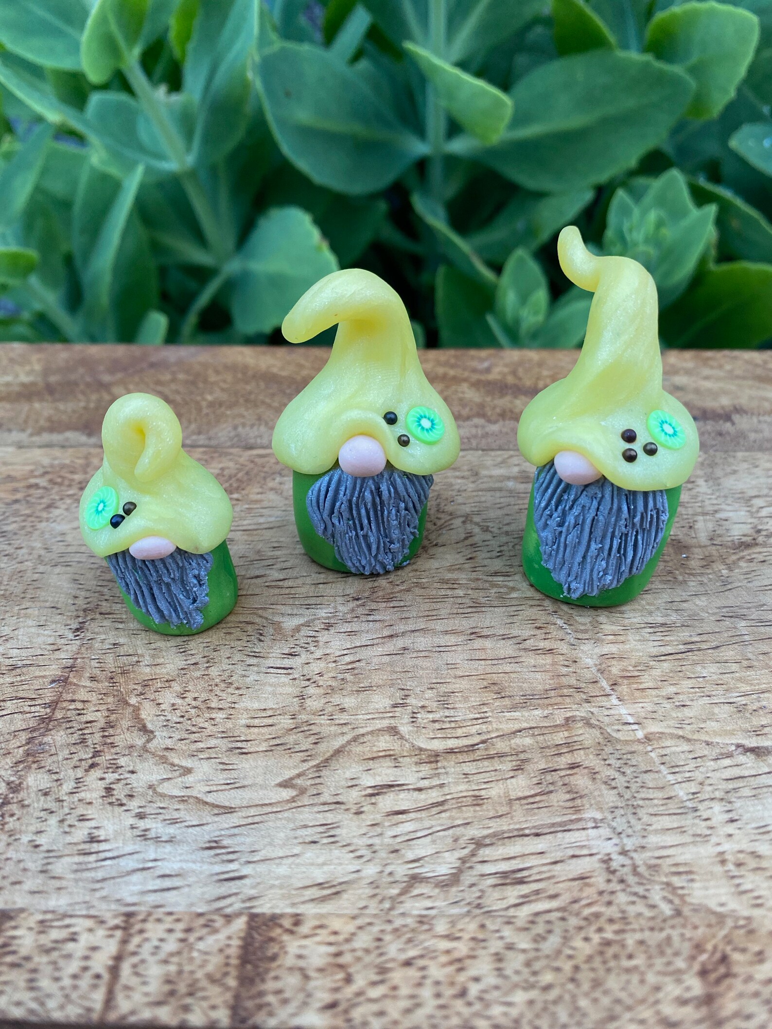 Fruit Themed Gnomes, Kiwi, Dragon Fruit, Banana, Watermelon, Strawberry ...