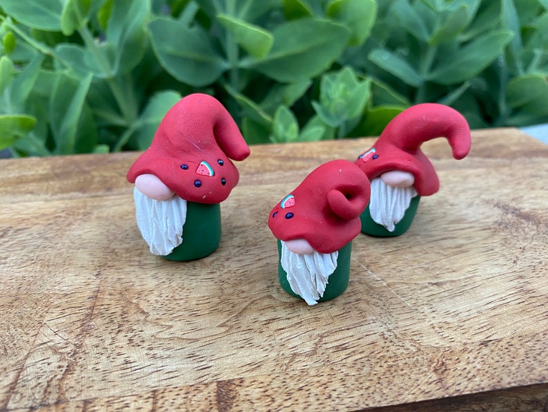 Fruit Themed Gnomes, Kiwi, Dragon Fruit, Banana, Watermelon, Strawberry ...