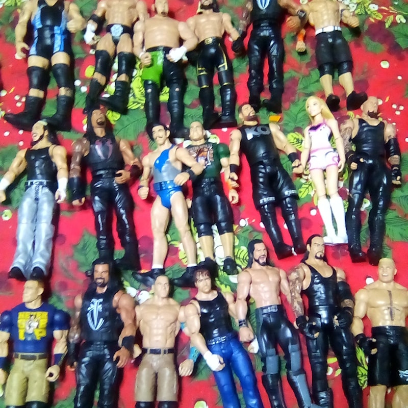 Wwe Figure Lot - Etsy