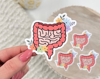 Human Heart Sticker Anatomical Heart Sticker Nurse and - Etsy