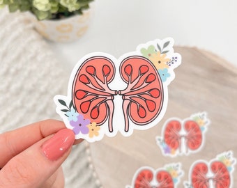 Kidney Disease Sticker Funny My Kidneys Are Assholes Kidney Cancer ...