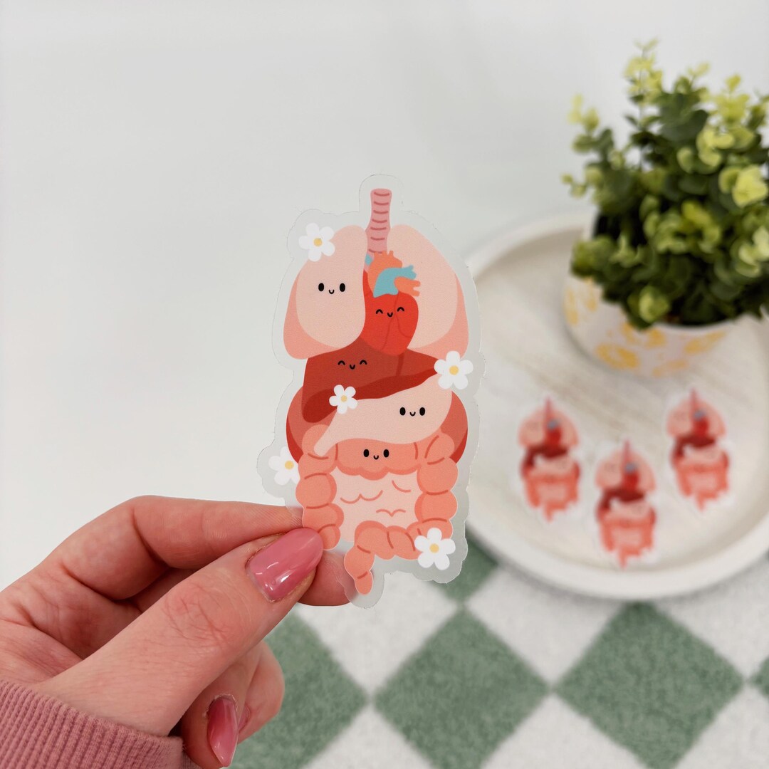 Internal Organs Sticker, Cute Anatomy Sticker, Anatomical Sticker ...