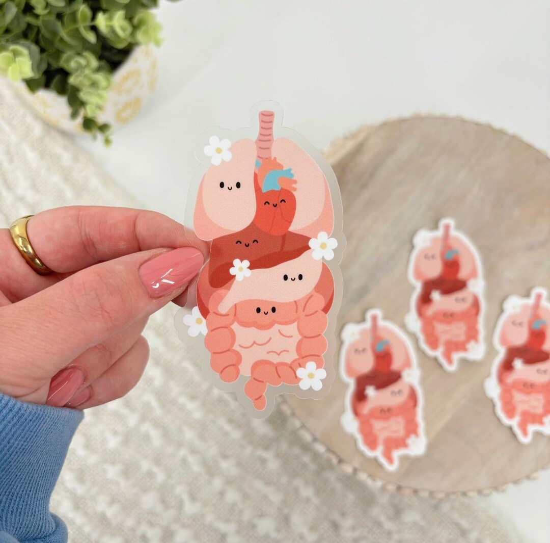 Internal Organs Sticker, Cute Anatomy Sticker, Anatomical Sticker ...