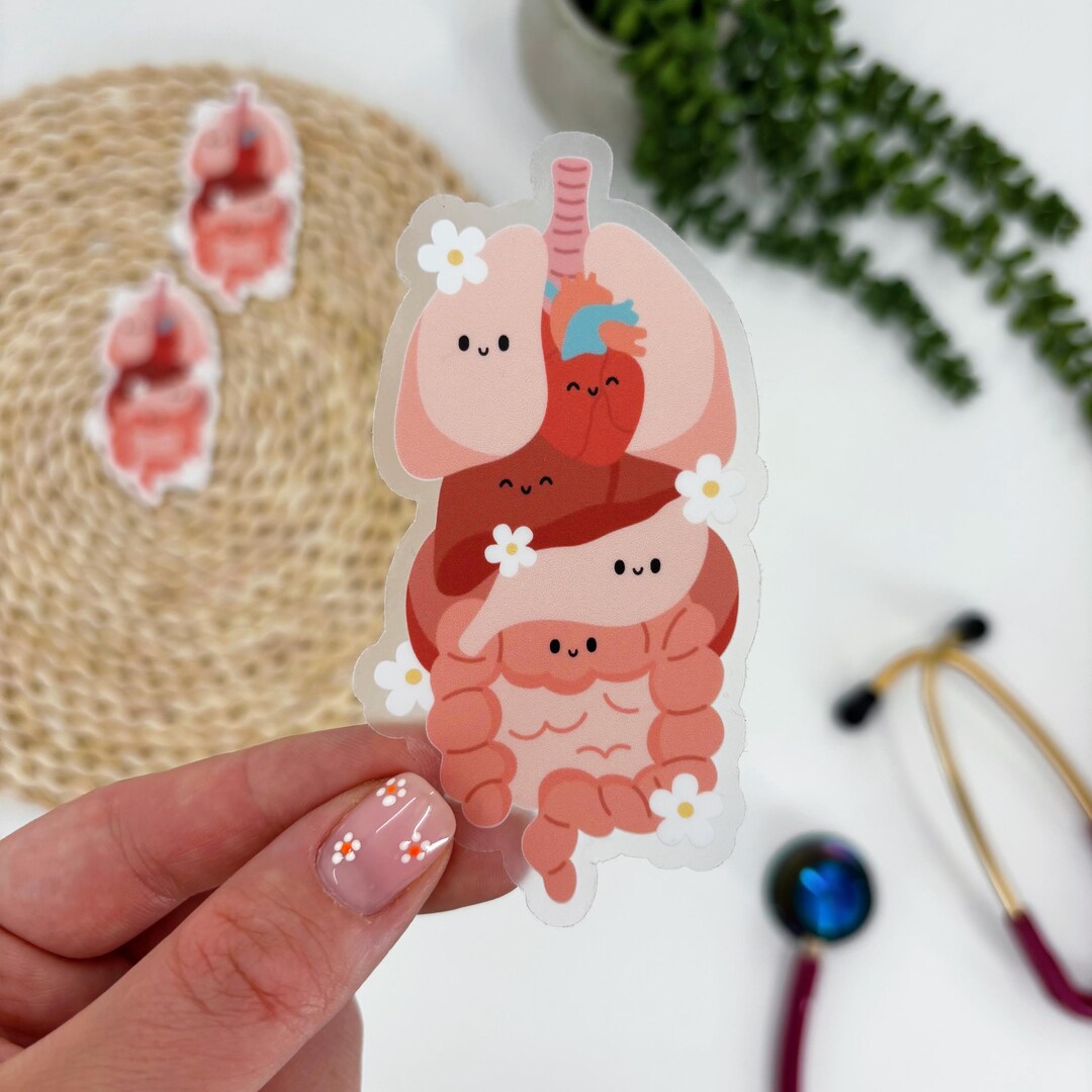 Internal Organs Sticker, Cute Anatomy Sticker, Anatomical Organs ...
