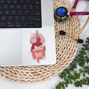 Internal Organs Sticker, Cute Anatomy Sticker, Anatomical Organs ...