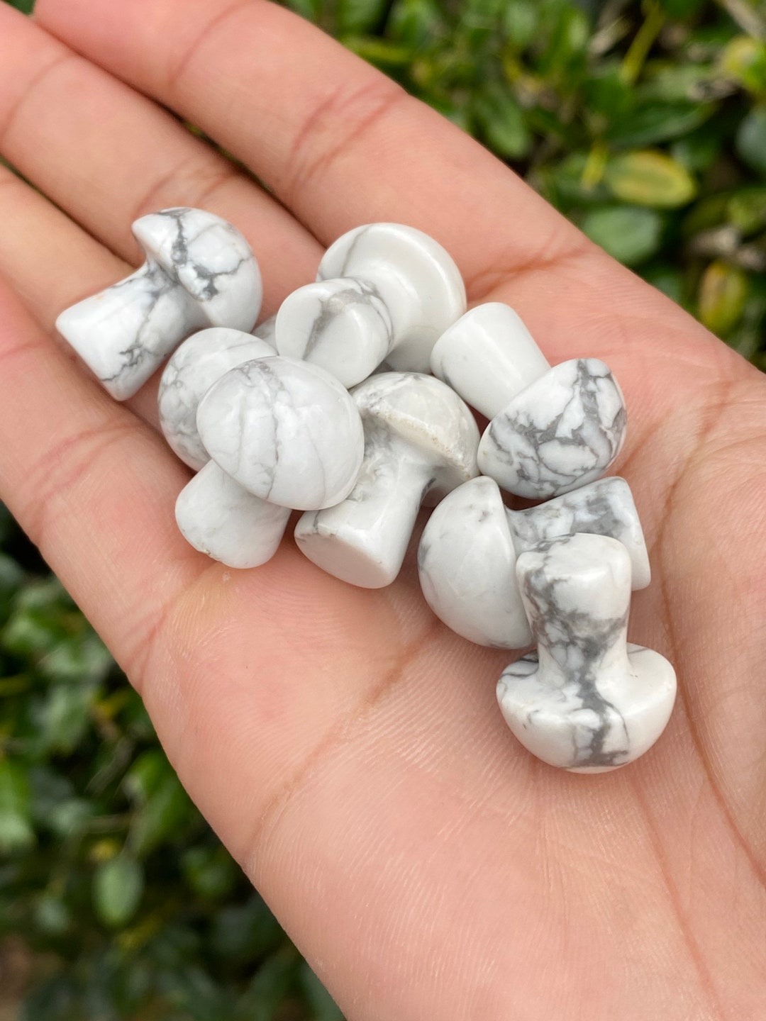 Howlite Mini Mushroom | Crystal Mushroom | Howlite Crystal - Etsy