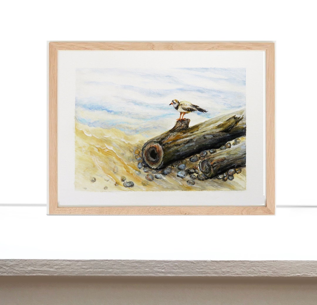 Original Art, Piping Plover Painting, Seabird Original Painting ...