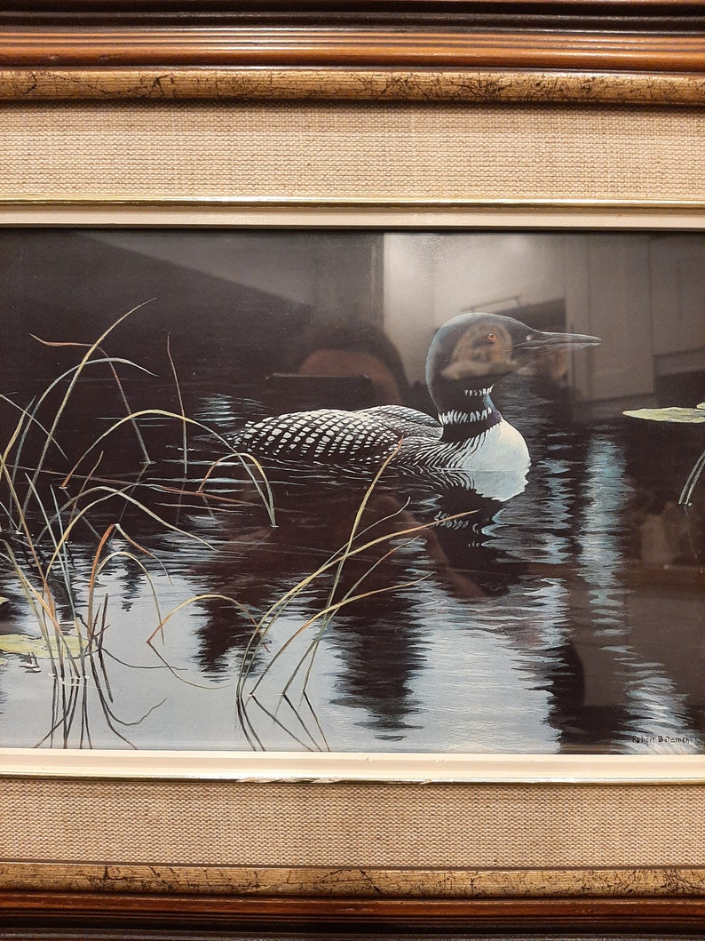 ROBERT BATEMAN born 24 May 1930 Canadian Naturalist & Painter Vintage ...