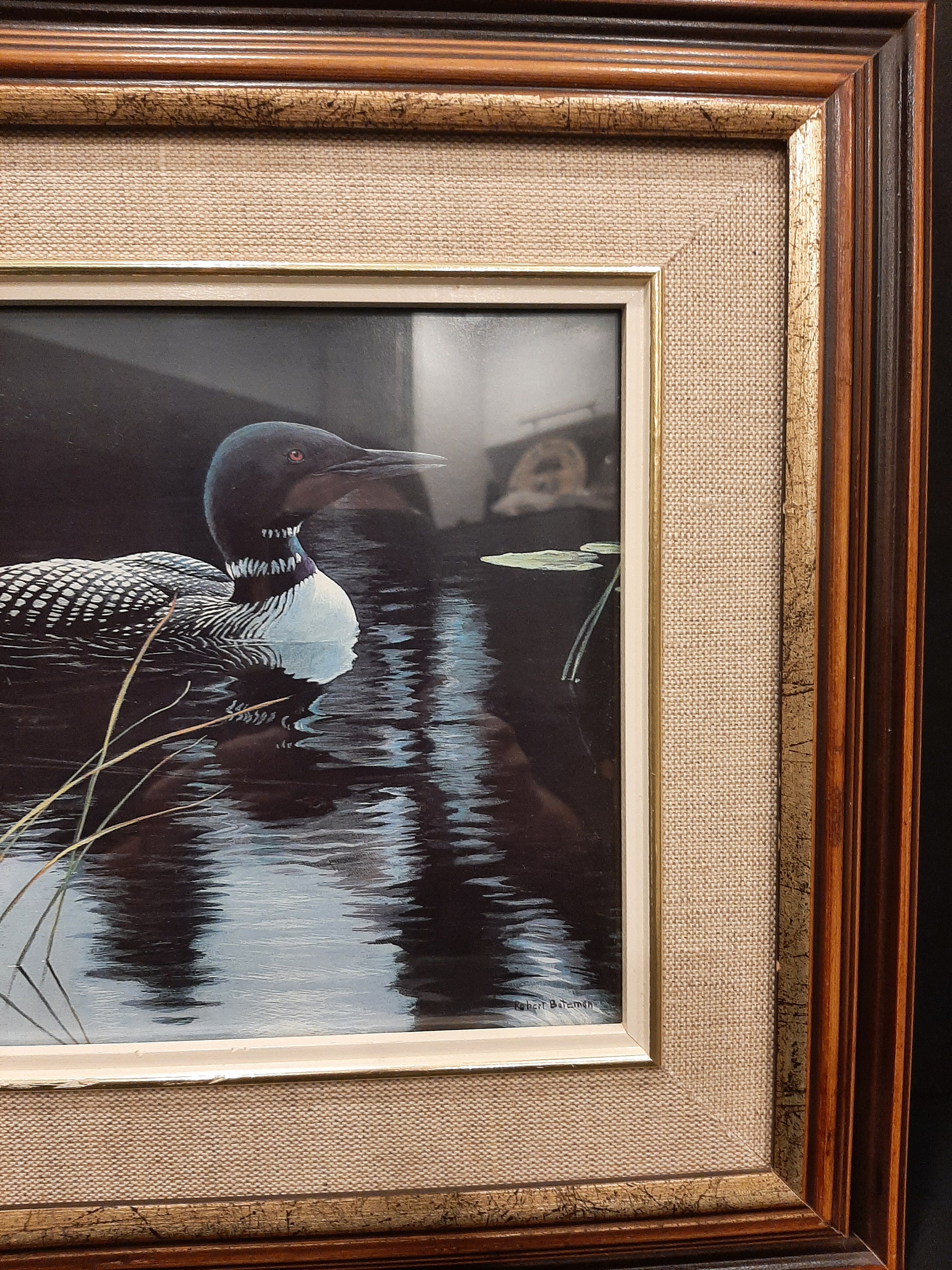 ROBERT BATEMAN born 24 May 1930 Canadian Naturalist & Painter Vintage ...