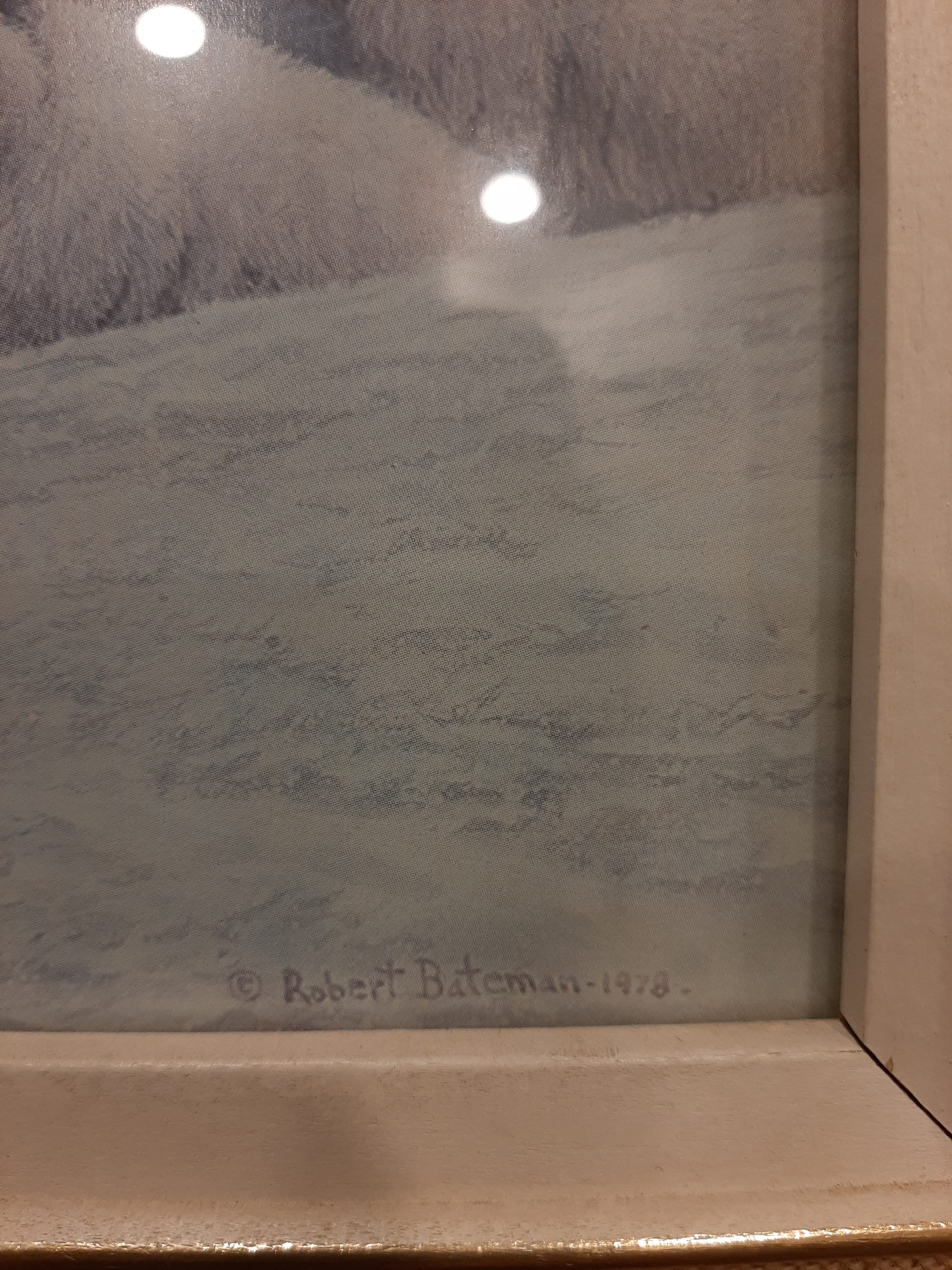 ROBERT BATEMAN born 24 May 1930 Canadian Naturalist & Painter Vintage ...