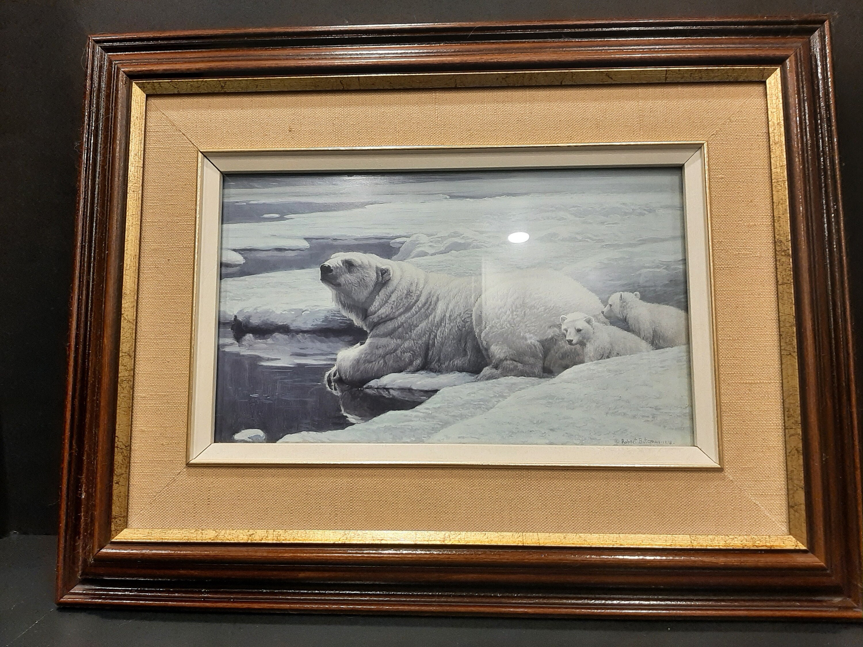 ROBERT BATEMAN born 24 May 1930 Canadian Naturalist & Painter Vintage ...